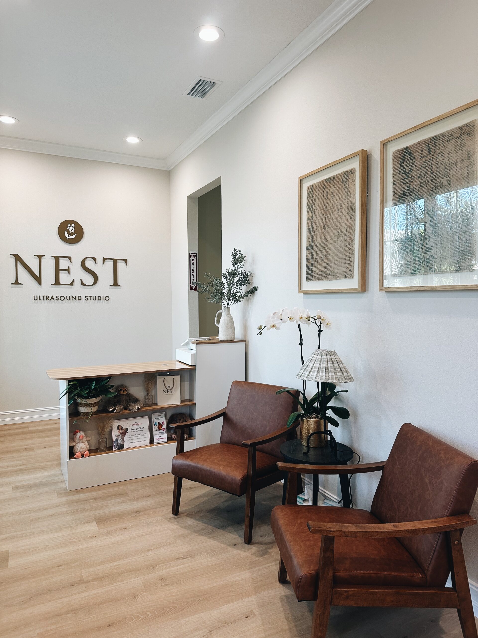 How Elective Ultrasounds Differ from Medical Ultrasounds - Nest ...